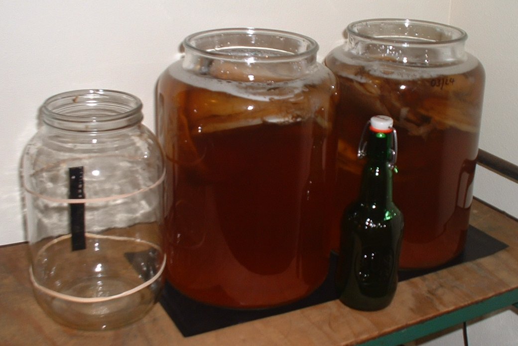Kombucha